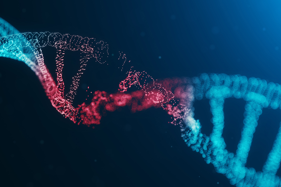 MPN 101: Definitions, Gene Mutations and What to Expect