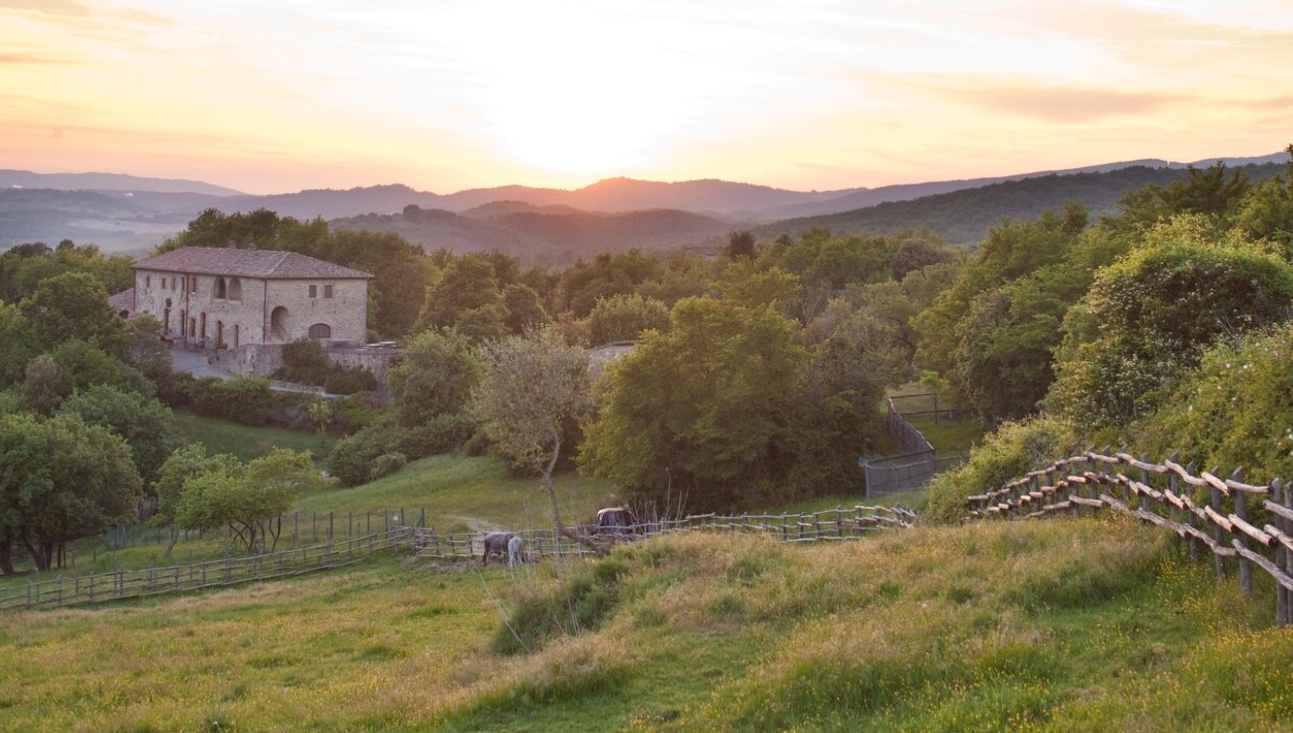 De drijvende kracht achter de inzet van Hapimag voor duurzaamheid