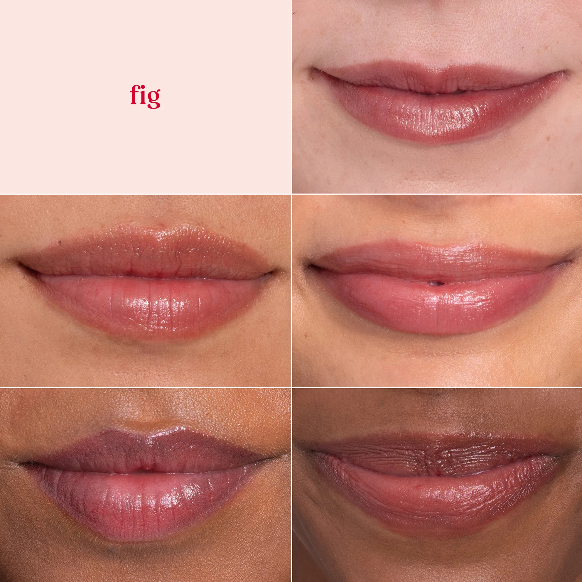 Fig Lip Shimmer | Burt's Bees UK
