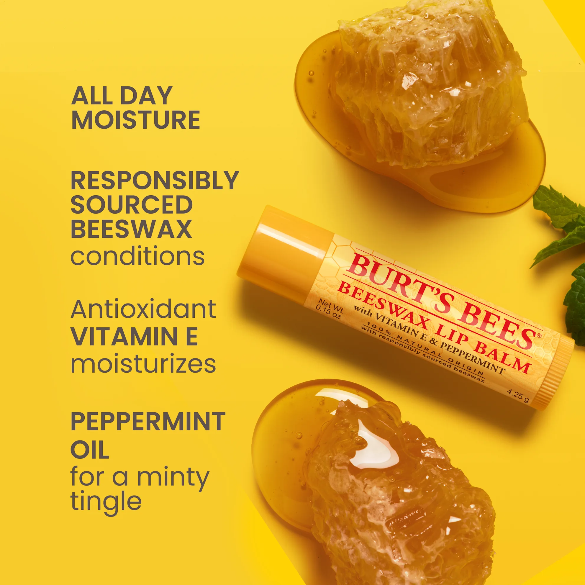 Freshly Picked Lip Balm Four Pack | Burt's Bees UK
