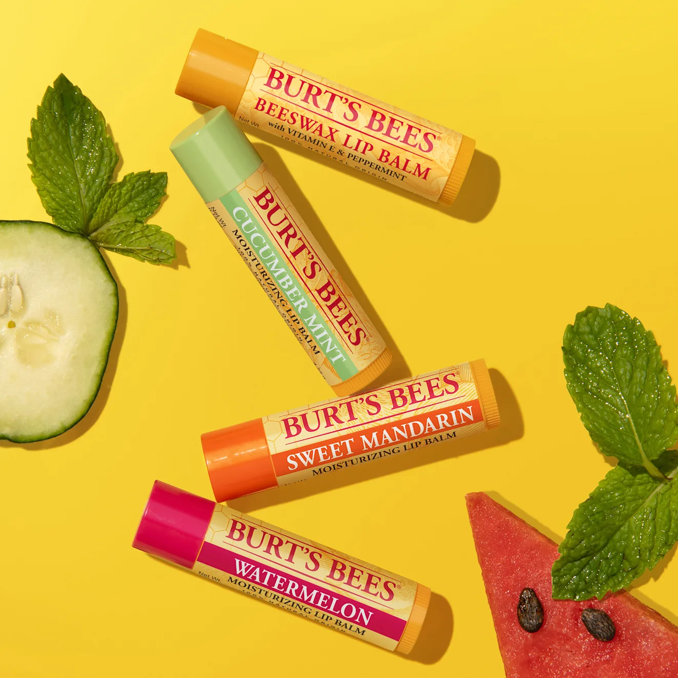Freshly Picked Lip Balm Four Pack | Burt's Bees UK