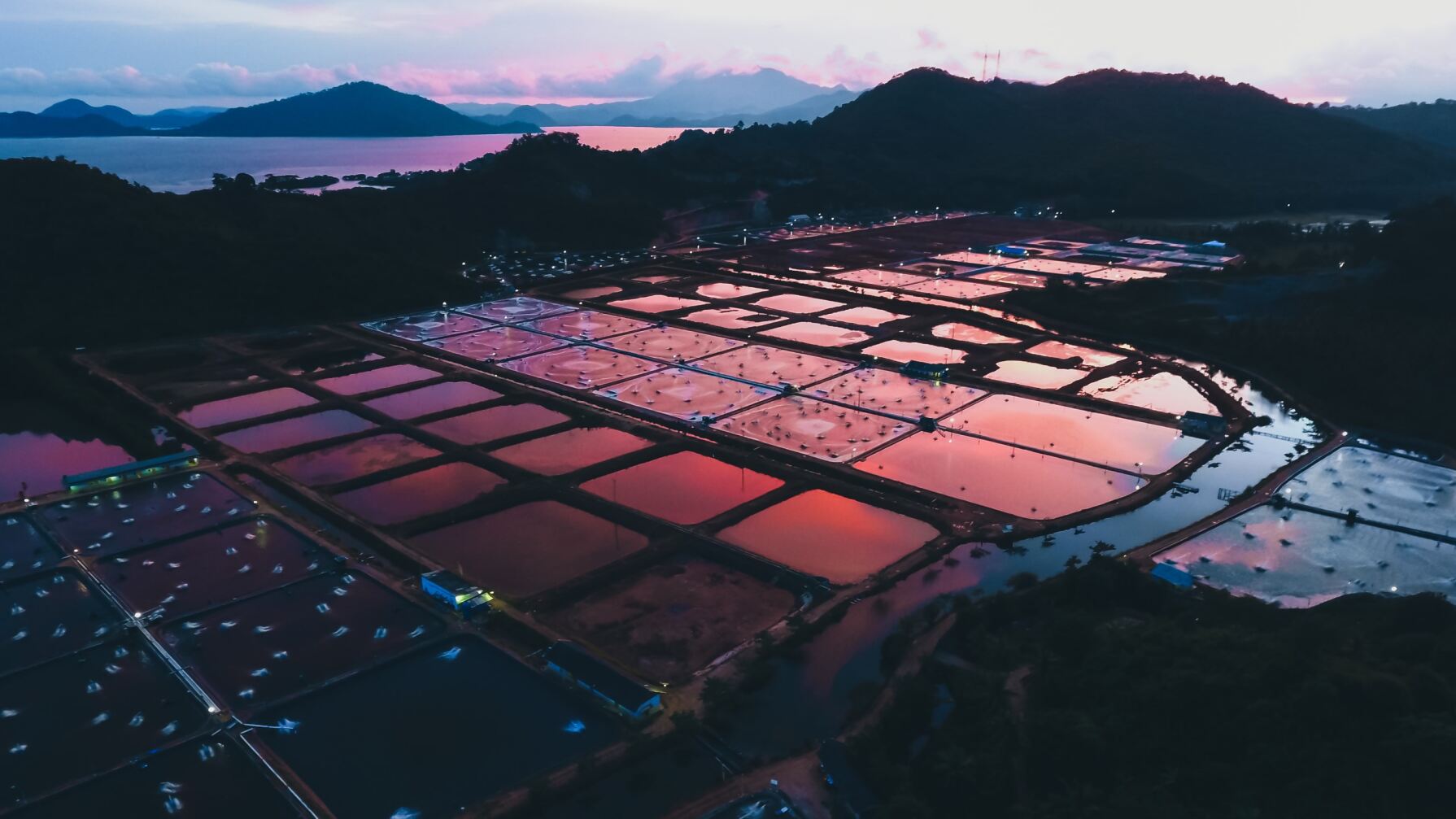 Aquaculture | Solmax