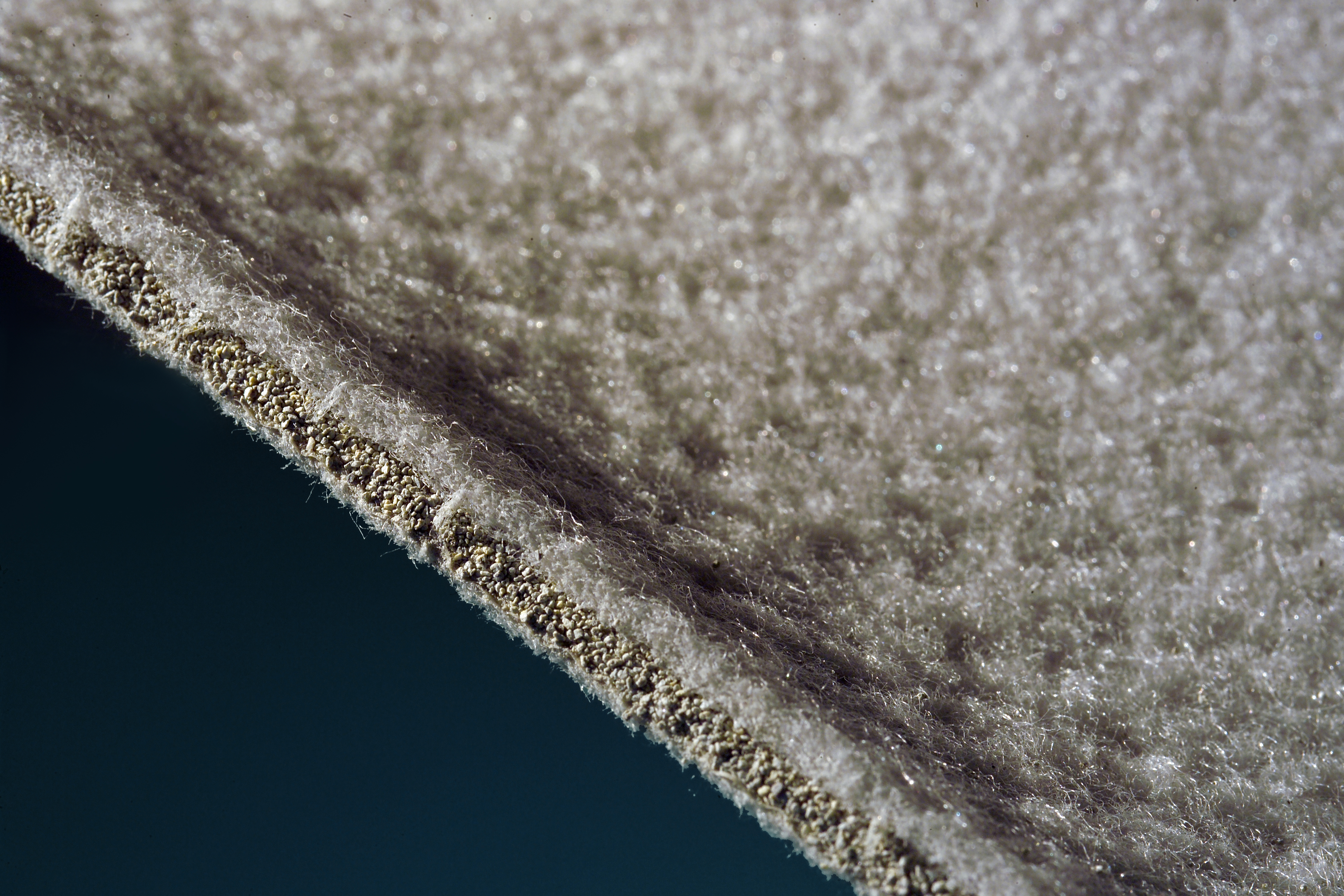 Solmax | BENTOLINER NW