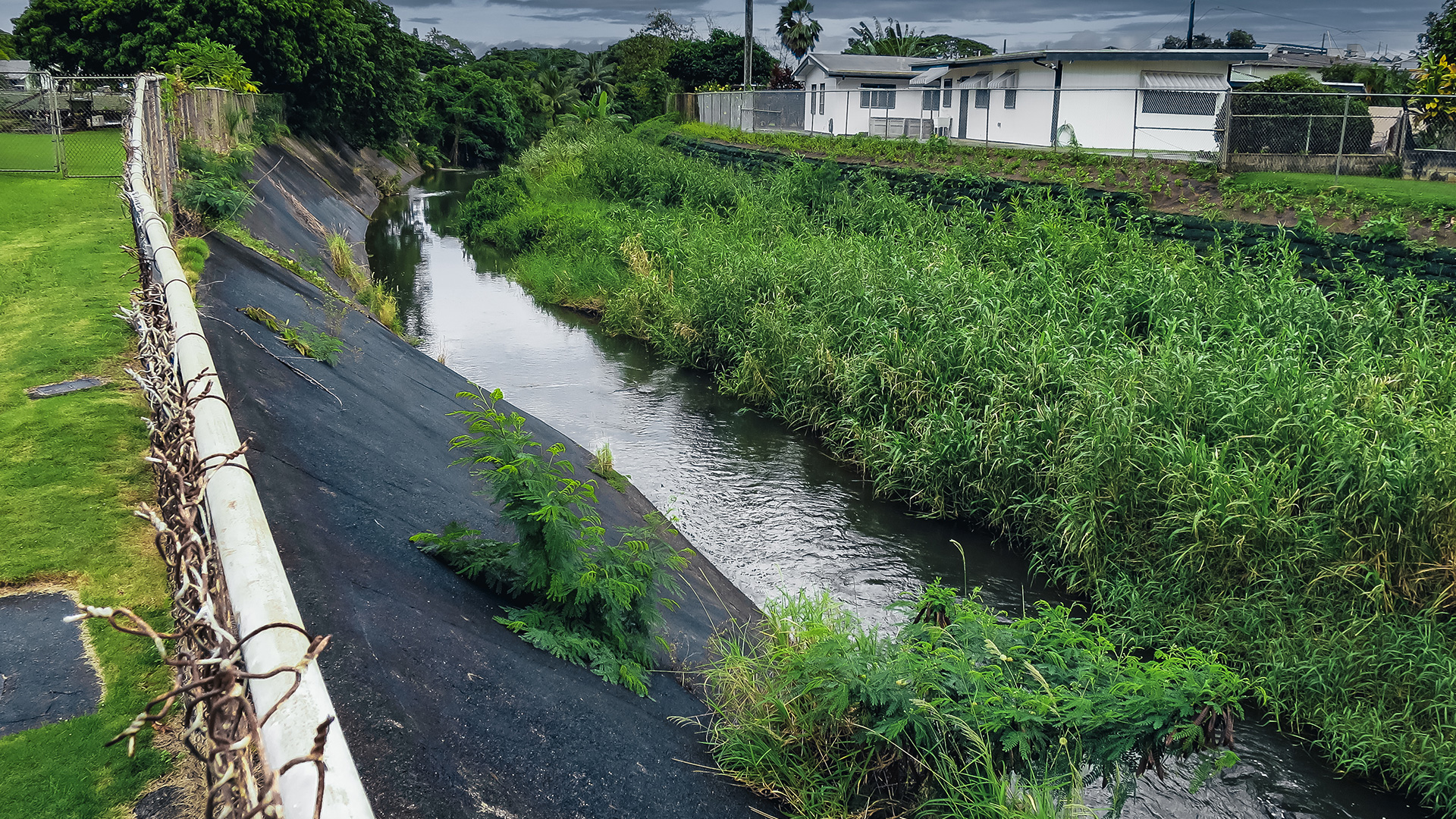 CASE STUDY | Kaneohe Stream Stabilization Project, Hawaii | Solmax