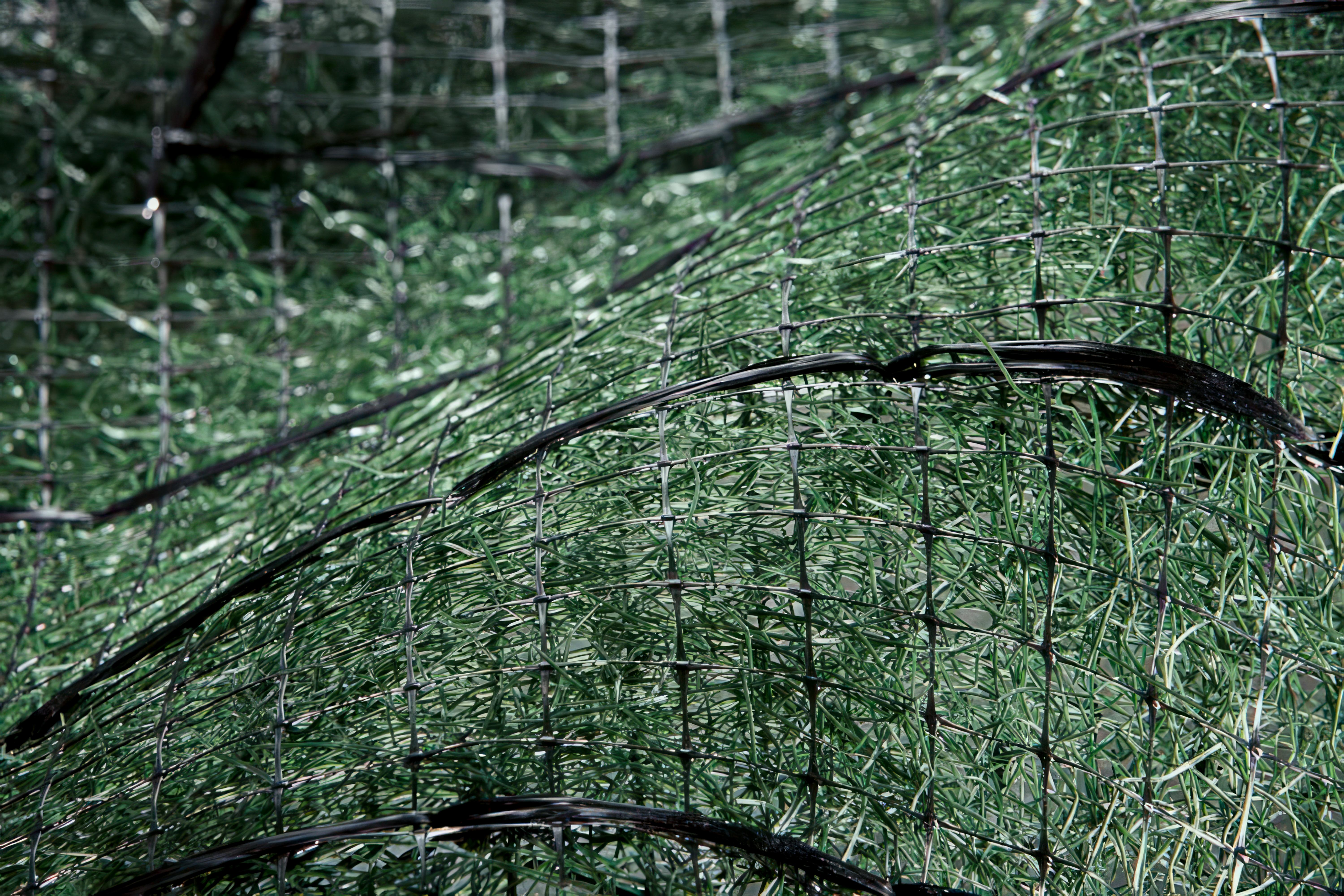 Solmax | PROPEX Landlok TRM