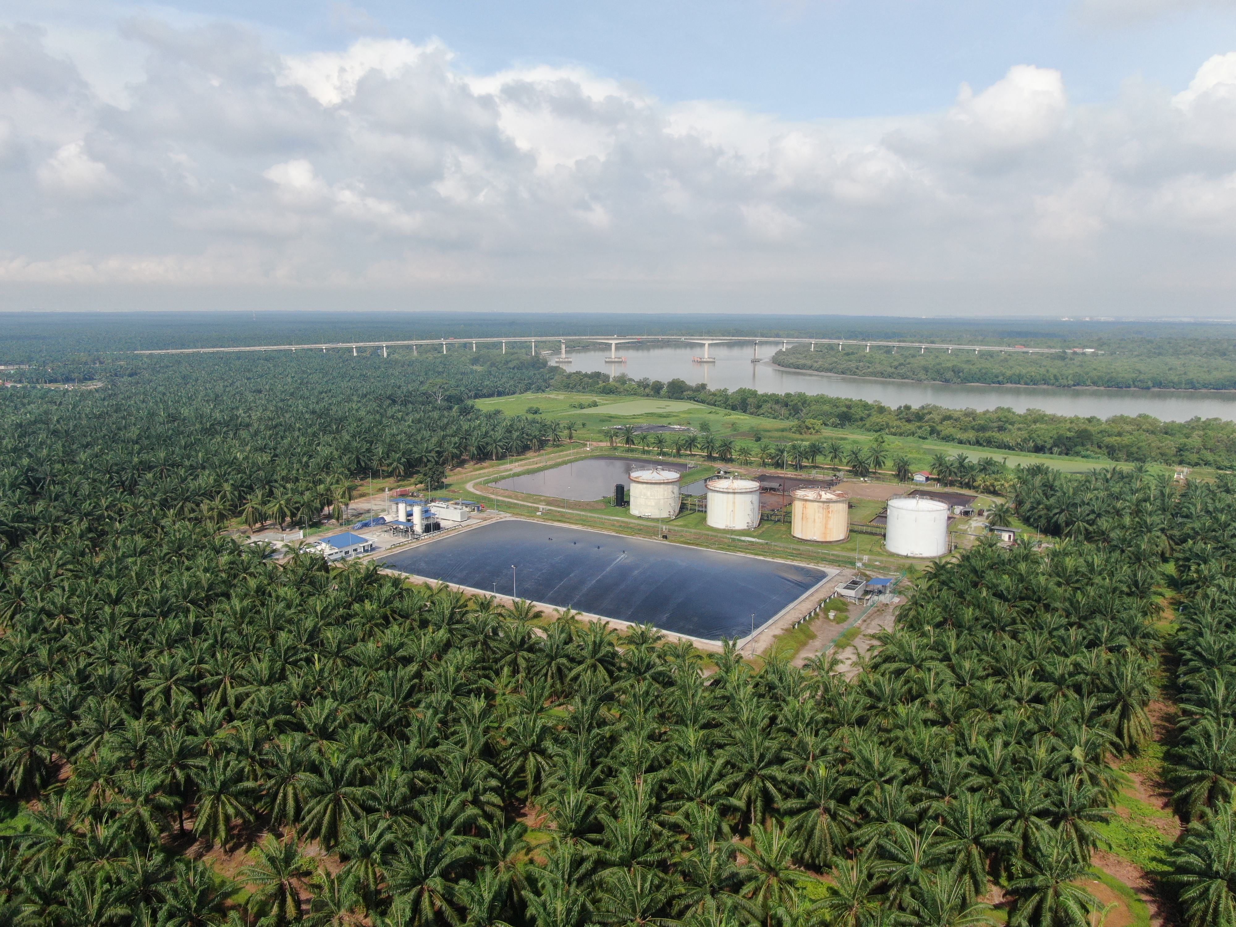 CASE STUDY | Renewable biogas from POME in Malaysia | Solmax