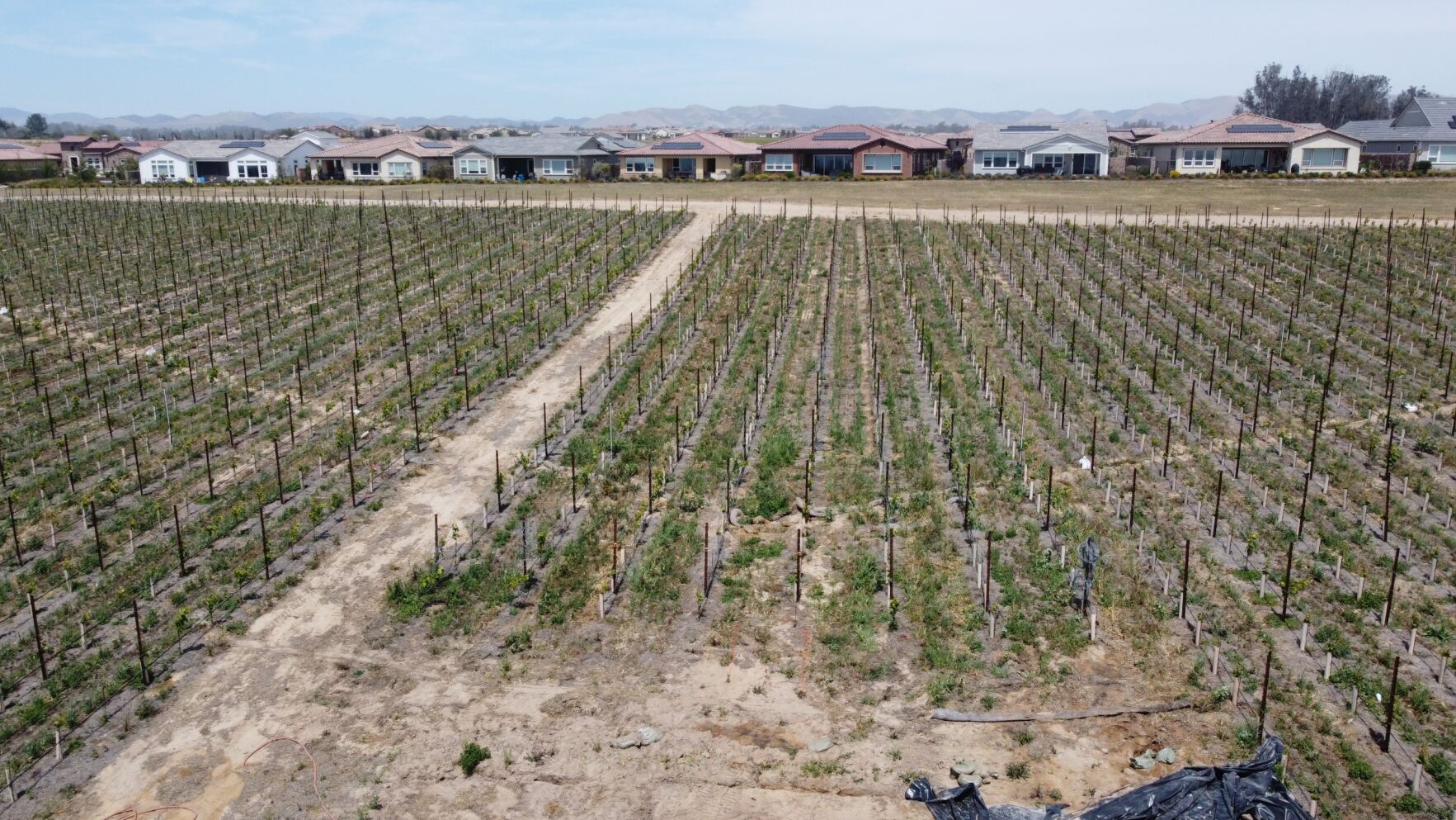 CASE STUDY | Long-term stabilization for drainage channel | Solmax