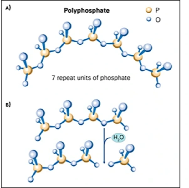 Calculus Control | A-Z Fundamentals of Dentifrice | Continuing ...