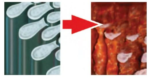 Erosion And Hypersensitivity Treatment Stannous Fluoride Toothpaste Dentalcare