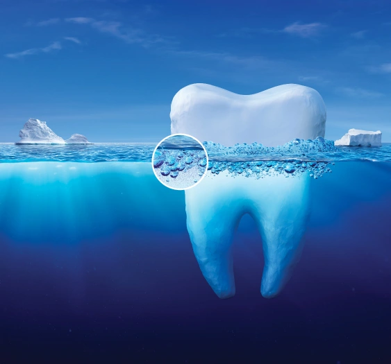 Dental Professional Resources - Faculty Resources