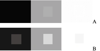 Image Resolution - The Radiographic Image - Dentalcare