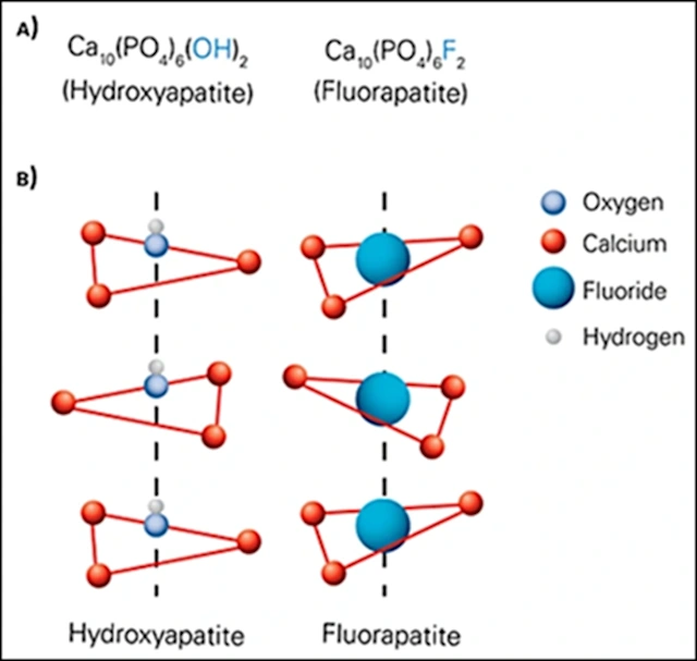 The Caries Process & Fluoride’s Mechanism of Action | A-Z Fundamentals ...