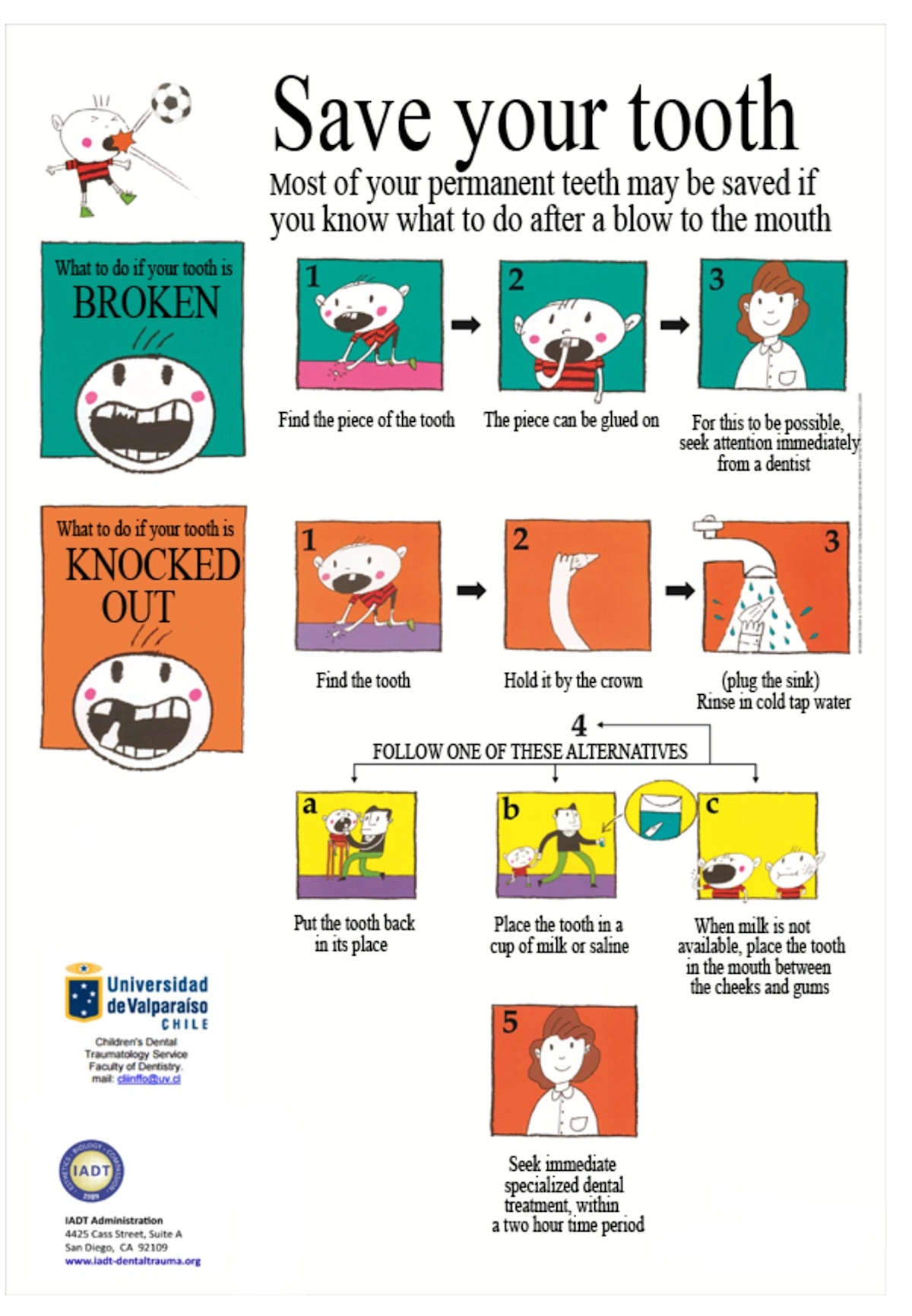 Save Your Tooth Poster | Sports dentistry - Education and Prevention ...