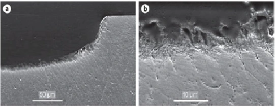 Surface Layer Measurements - Managing Dental Erosion: Current ...