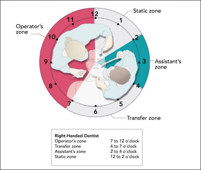 Zones of Activity - The Concepts of Four-handed Dentistry Including ...
