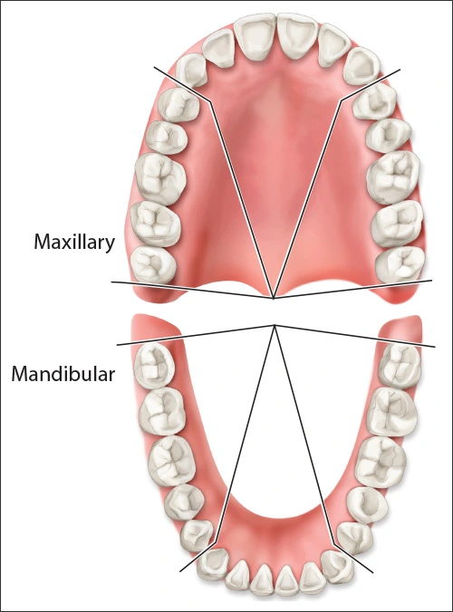 Objectives Of Screening Periodontal Screening And Recording Its Use When Detecting
