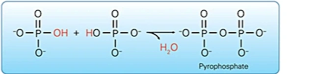 Calculus Control | A-Z Fundamentals of Dentifrice | Continuing ...