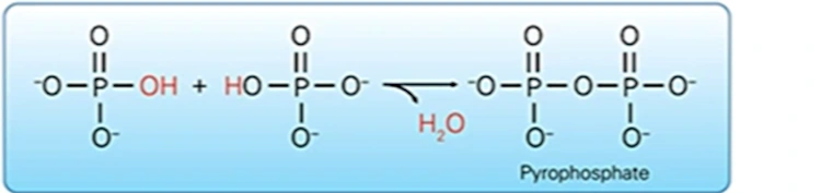Calculus Control | A-Z Fundamentals of Dentifrice | Continuing ...