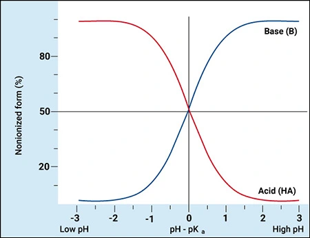 Pharmacokinetic Processes - General Principles of Pharmacology - Dentalcare