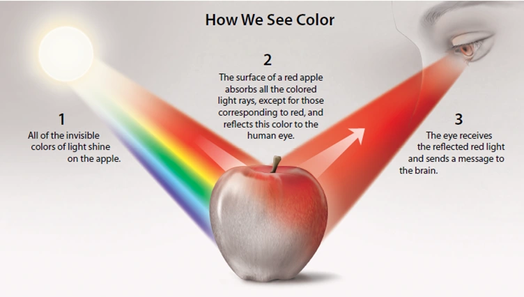 The Basics: How we see color | How Whitening Works | Continuing ...