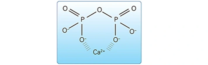 Calculus Control | A-Z Fundamentals of Dentifrice | Continuing ...