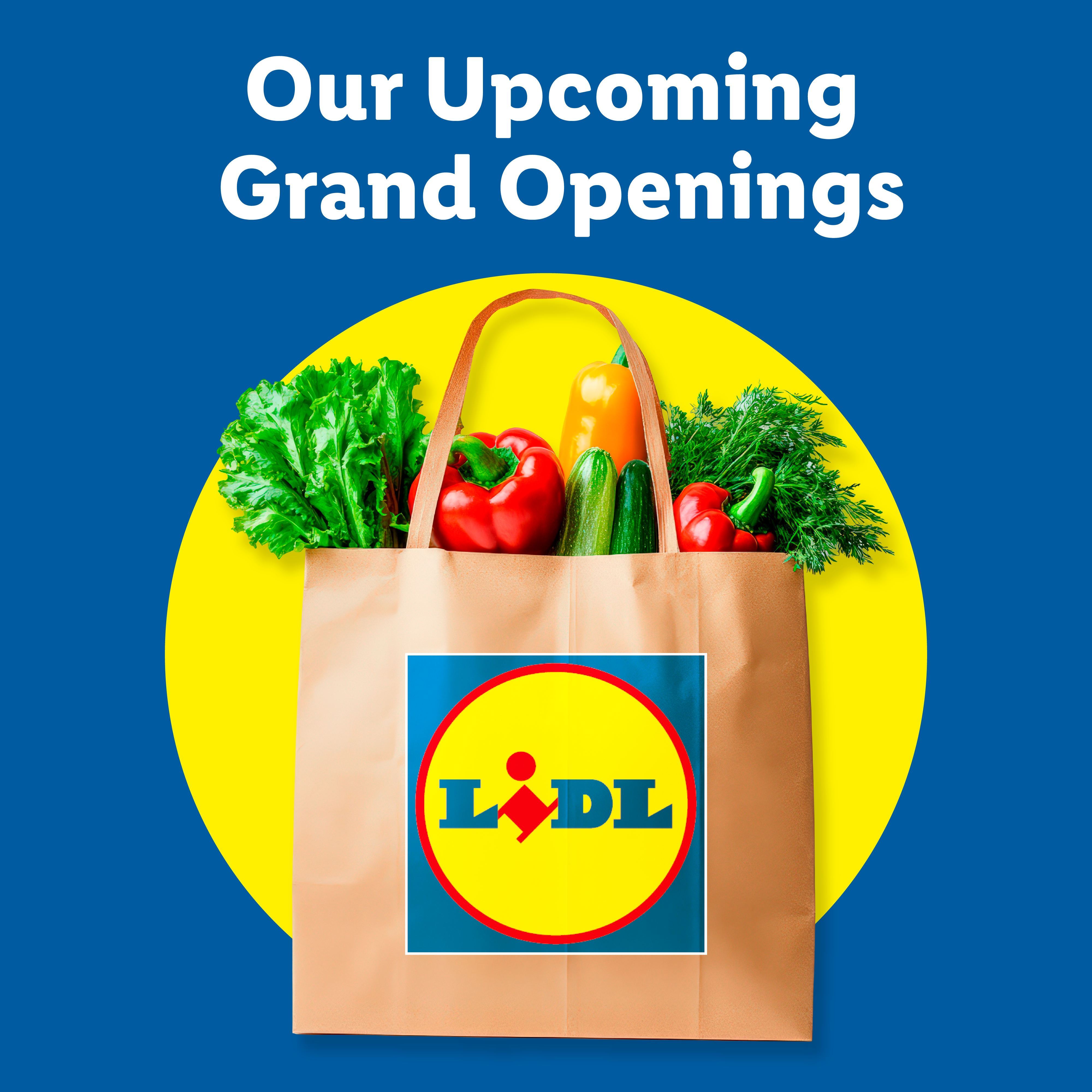 Grocery Store | Low Prices | Lidl US