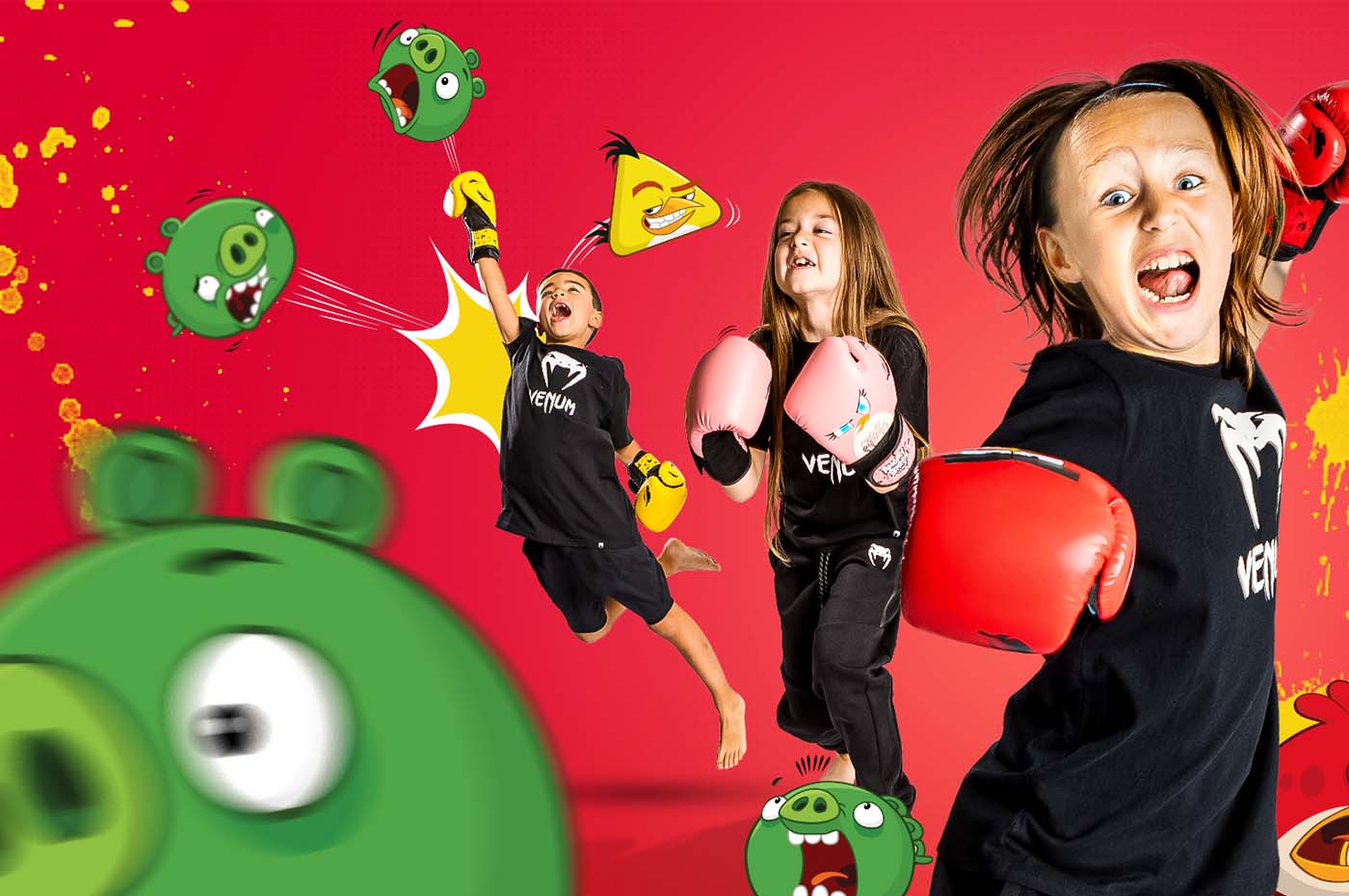 Venum & Rovio Team Up to Launch an Exclusive Angry Birds Collection | IMG