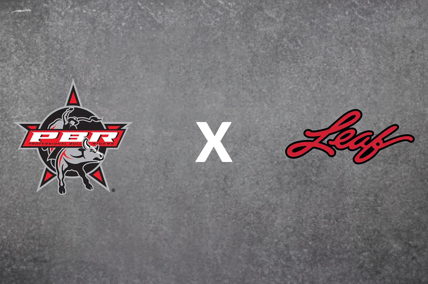 Leaf Trading Cards Becomes Official Trading Card of PBR (Professional ...