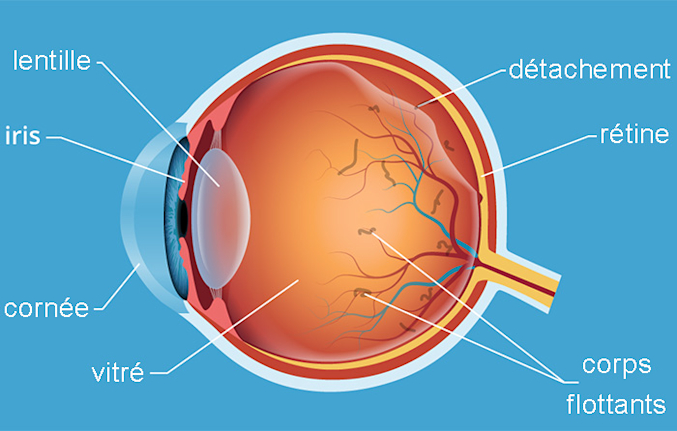 Maladies oculaires de A-Z par All About Vision