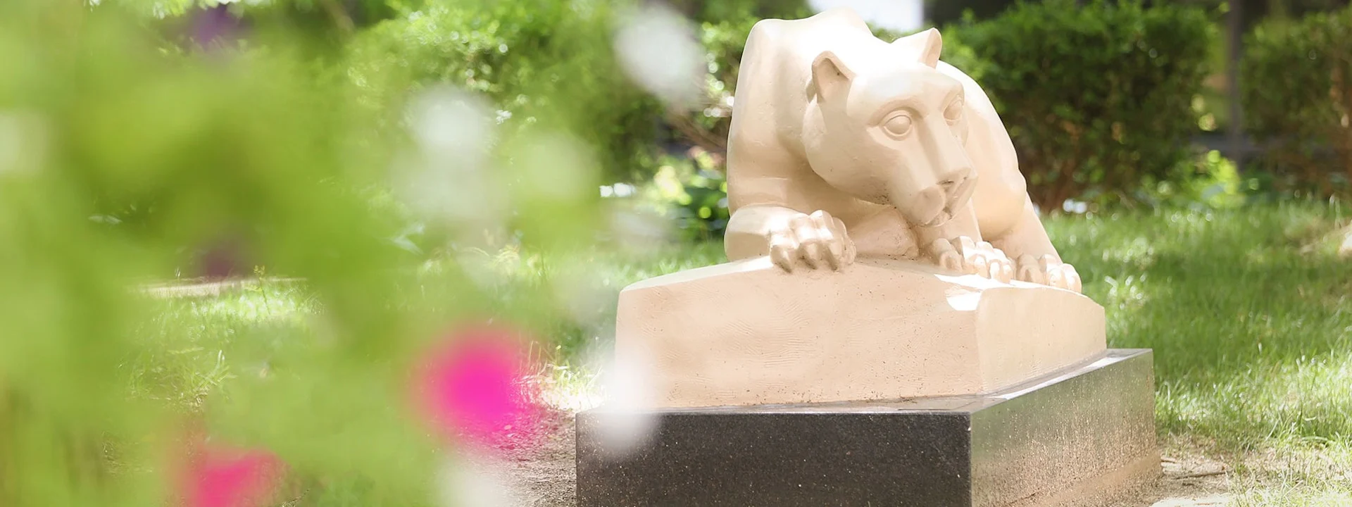 Division of Cardiology | Penn State College of Medicine | Penn State