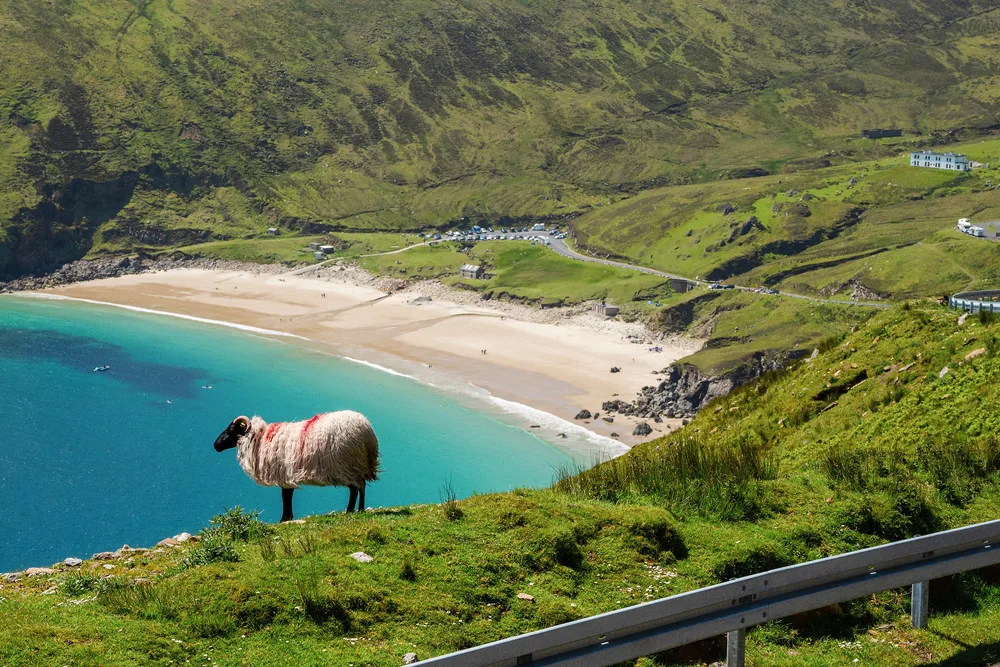 Holidays in Ireland 🍀 Cliffs, legends & cozy pubs | TUI amello