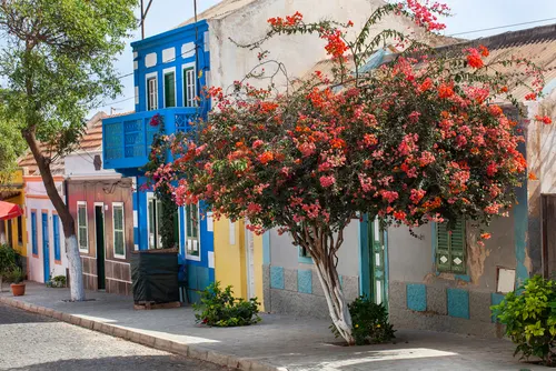 Holidays in Cape Verde ☀️ Exotic islands & volcanic landscapes | TUI amello