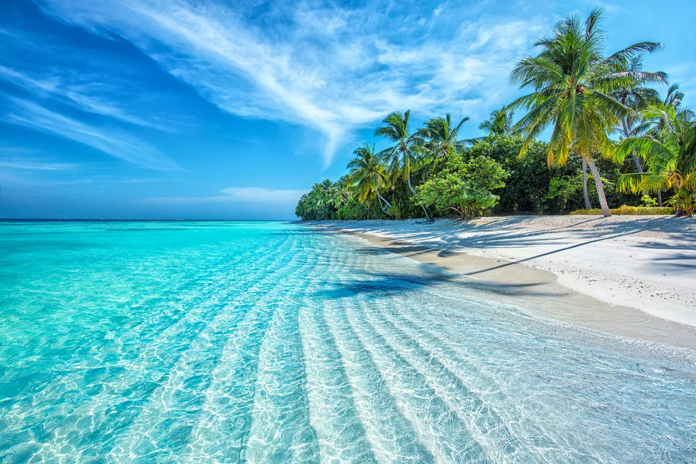 TUI amello ️ The largest selection of TUI hotels worldwide ️