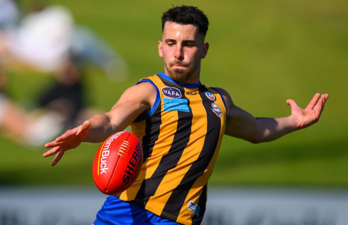 VAFA Premier Men's Round 10 review — SEN