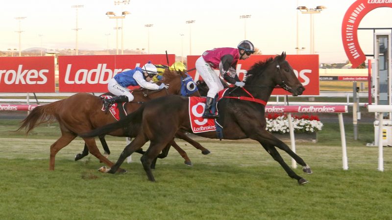 Matt Reid’s best bets for Sunday racing at Launceston (18/08) — SEN