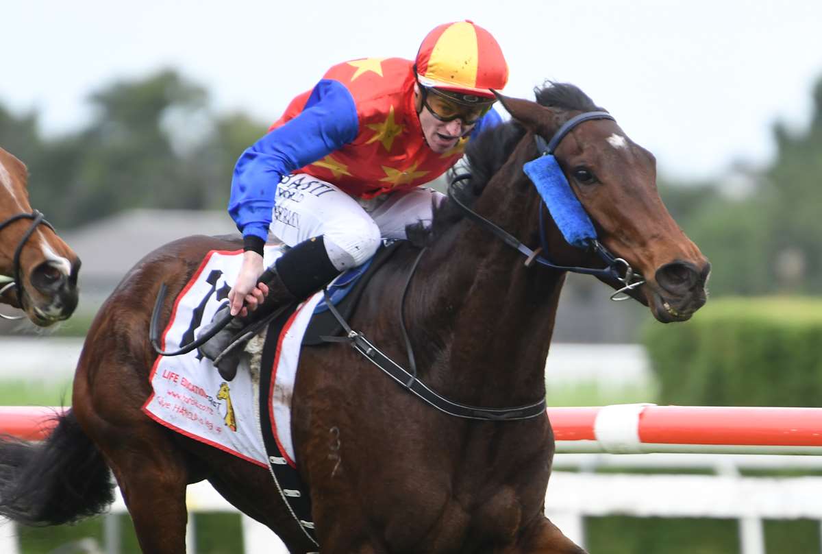 Miller on weekend home and away watch — SEN