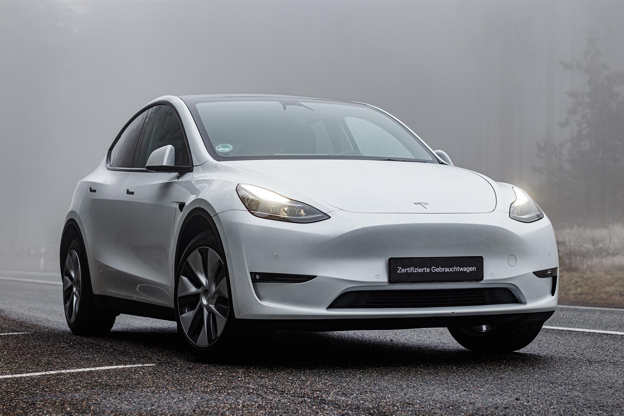 Gebrauchtwagen-Check Tesla Model Y Long Range AWD (2022): Wenig Drama ...
