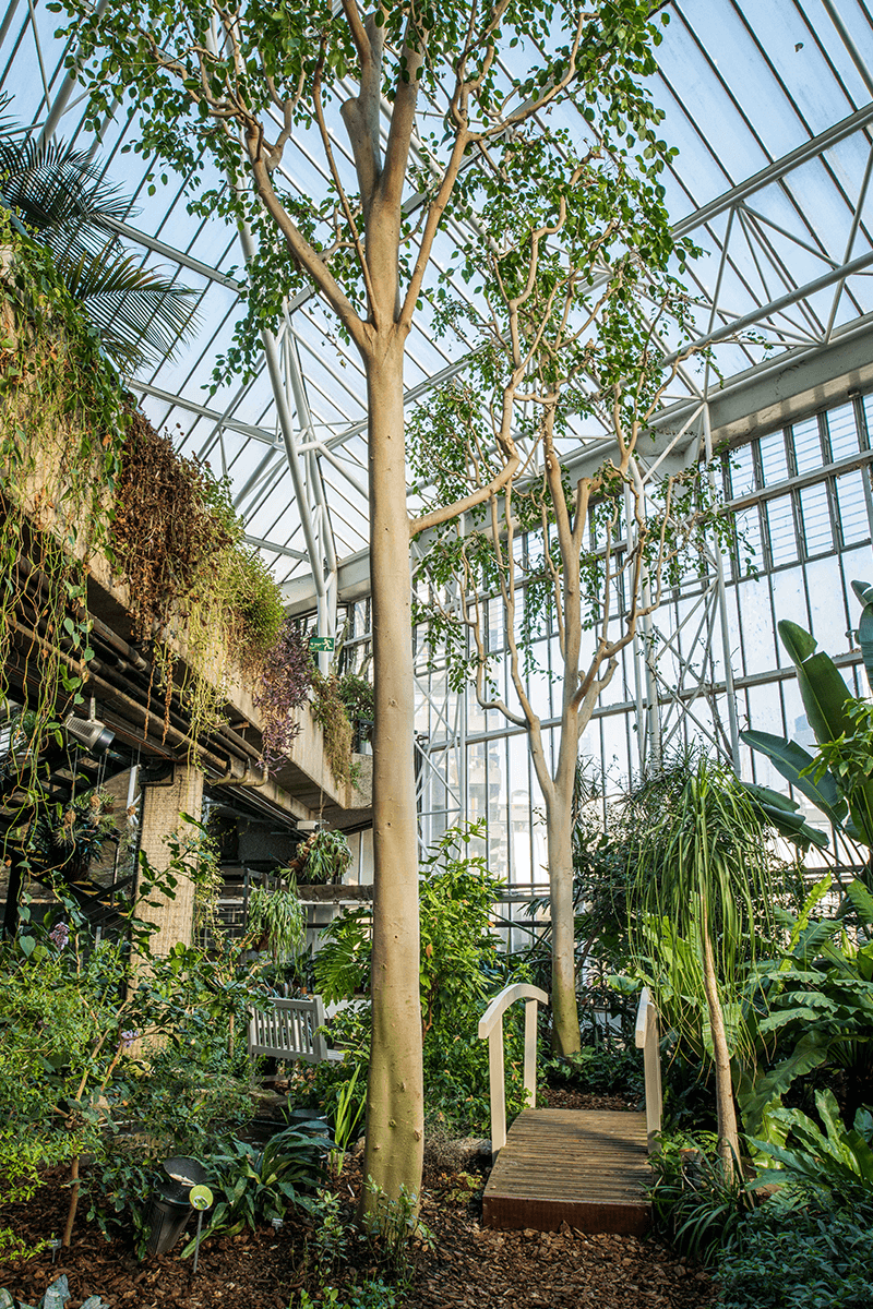 The Barbican Garden Room Conservatory | Fasci Garden