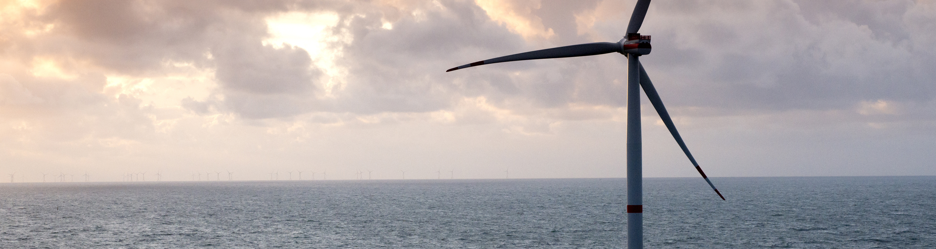 Work with us - EnBW bp