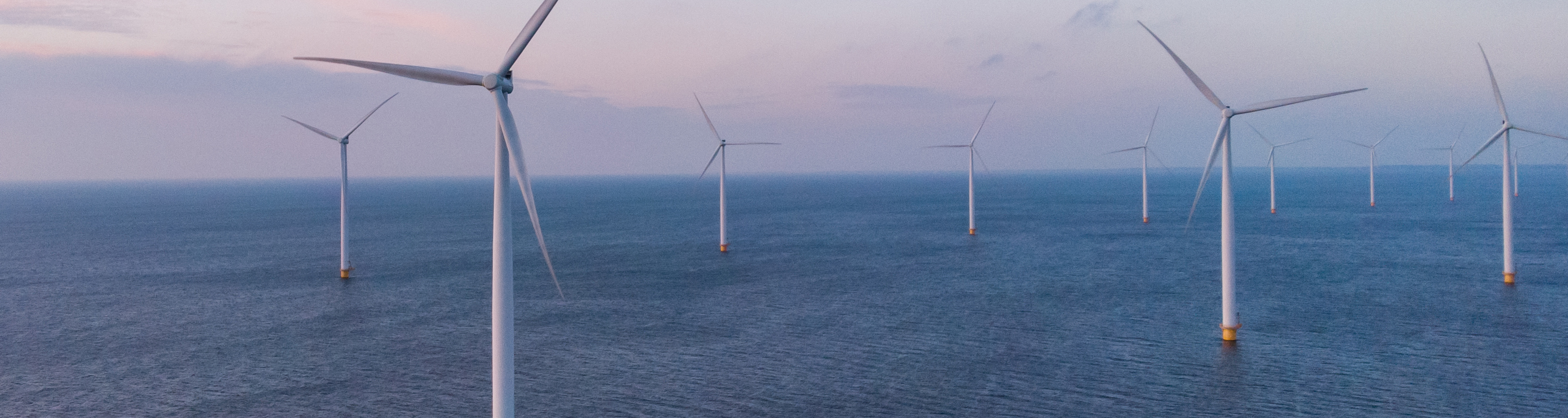 Morgan Generation Offshore Wind Farm granted consent - EnBW bp