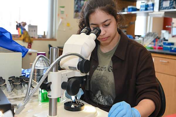 Biology: Pre-Medical BS Major - West Virginia University