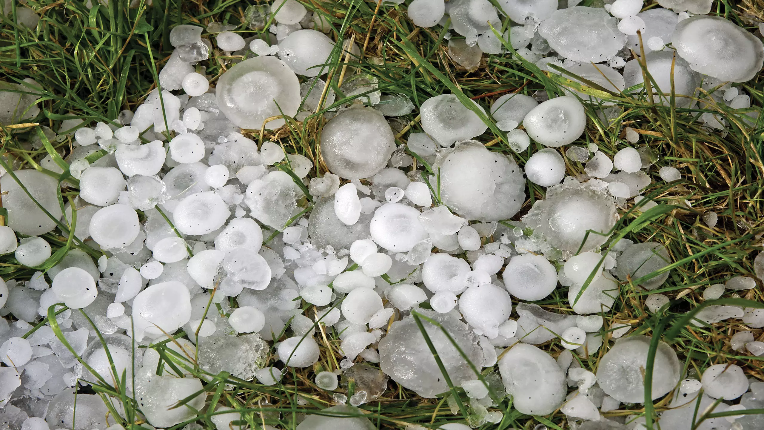 La manutenzione del tetto in caso di forti grandinate