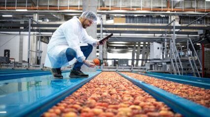 GMP in Food Industry: What You Need to Know | SafetyCulture