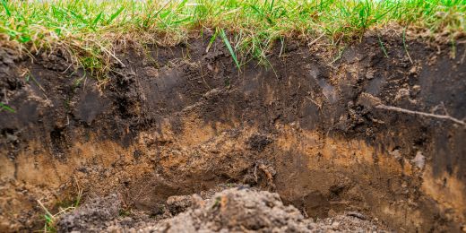 A Guide to Soil Amendments | SafetyCulture