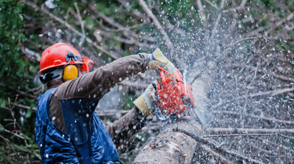Matériel forestier : l'utiliser en toute sécurité | SafetyCulture