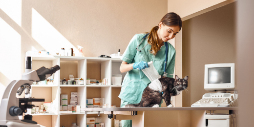A Comprehensive Guide to Veterinary Practice Management | SafetyCulture