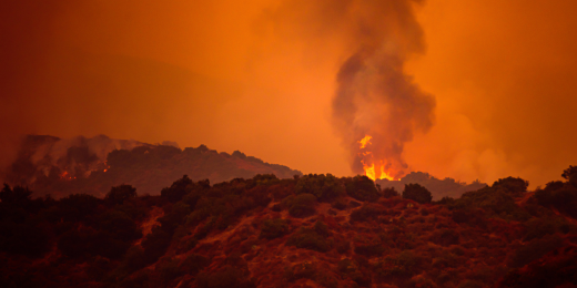 A Comprehensive Guide to Wildfire Regulations US | SafetyCulture