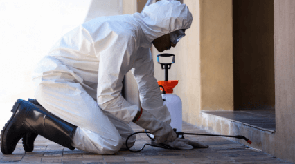 Free Termite Inspection Checklist | PDF | SafetyCulture
