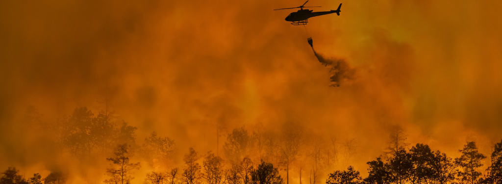 The Ultimate Guide to Wildfire Smoke | SafetyCulture