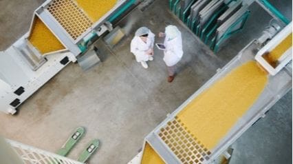 A Short Guide to Production Control | SafetyCulture